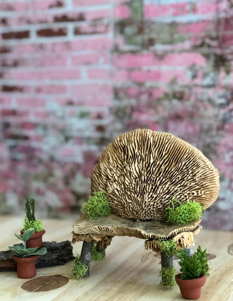 Mushroom Bench with Herb Pots – Olive Nature Folklore